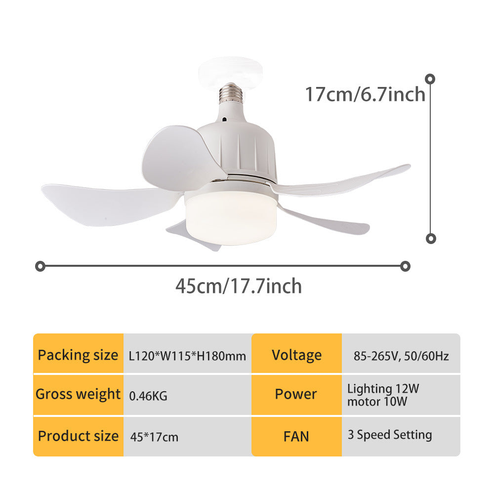 Quiet Socket Fan with Light | USOR Australia | RCM certified